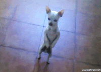 Urine GIFs - Get the best gif on GIFER