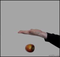 Appl GIFs - Get the best gif on GIFER