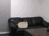 Noooooo Gif