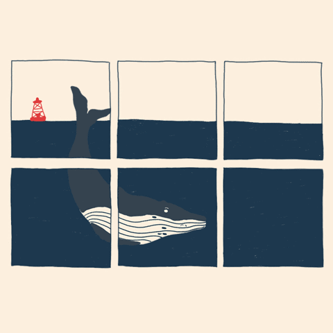 Percolating GIFs - Get the best gif on GIFER