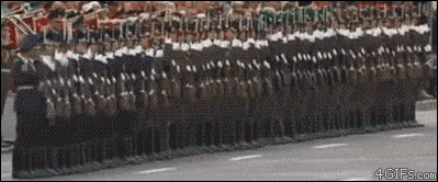 Impuesto GIF - Conseguir el mejor gif en GIFER