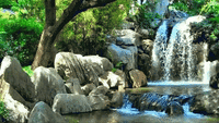 Parks GIFs - Get the best gif on GIFER