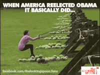 Conservative GIFs - Get the best gif on GIFER