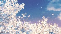 Сакура GIFs - Get the best gif on GIFER