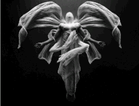 Redhawk GIFs - Get the best gif on GIFER