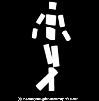 Perception GIFs - Get the best gif on GIFER