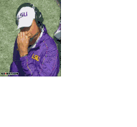 Lsu GIFs - Get the best gif on GIFER