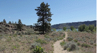 Hiking GIFs - Get the best gif on GIFER