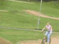 Beware GIFs - Get the best gif on GIFER