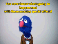 Grover GIFs - Get the best gif on GIFER