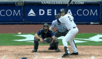 Yankees GIFs - Get the best gif on GIFER
