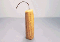 Corn GIFs - Get the best gif on GIFER
