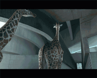 Diving team GIF - Conseguir o melhor gif em GIFER