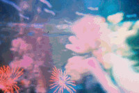 35mm GIFs - Get the best gif on GIFER