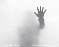 Fog GIFs - Get the best gif on GIFER