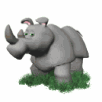 Rhinoceros GIFs - Get the best gif on GIFER