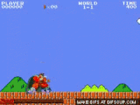 Bison GIFs - Get the best gif on GIFER