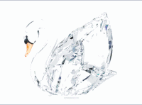 Swan GIFs - Get the best gif on GIFER