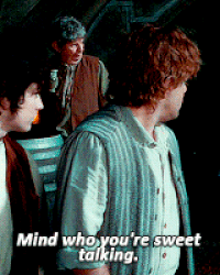 Samwise GIFs - Get the best gif on GIFER