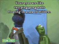 Grover GIFs - Get the best gif on GIFER