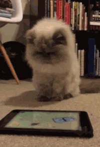 Ipad гифки, анимированные GIF изображения ipad - скачать гиф картинки ...