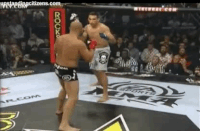 Touchstone GIFs - Get the best gif on GIFER