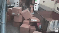 Fedex GIFs - Get the best gif on GIFER