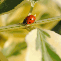 Bugs GIFs - Get the best gif on GIFER
