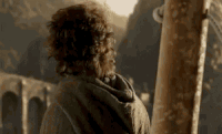 Lord of the rings GIFs - Get the best gif on GIFER