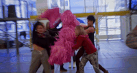 Pom GIFs - Get the best gif on GIFER