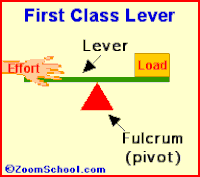 Enchant GIFs - Get the best gif on GIFER