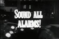 Forties GIFs - Get the best gif on GIFER