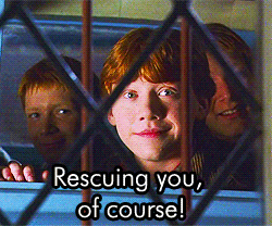 Order now GIFs - Get the best gif on GIFER