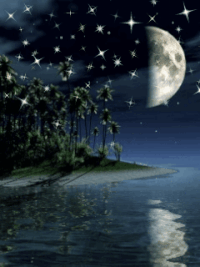 Moonlight GIFs - Get the best gif on GIFER