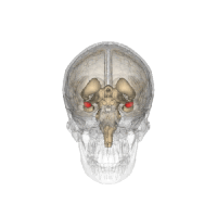 Psychology GIFs - Get the best gif on GIFER