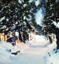 December GIFs - Get the best gif on GIFER