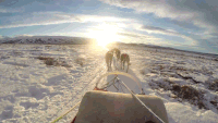 Sleds GIFs - Get the best gif on GIFER