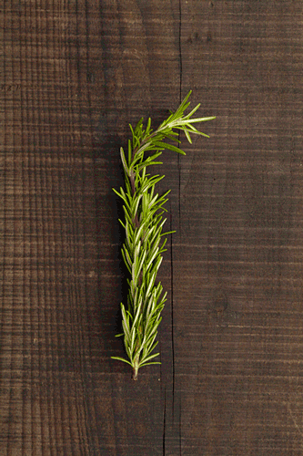 Herb GIFs - Get the best gif on GIFER