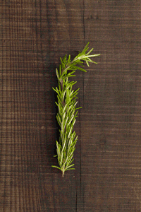 Herb facts GIFs - Obtenez le meilleur gif sur GIFER
