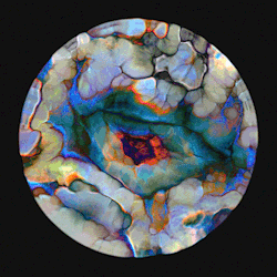 Microscopic гифки, анимированные GIF изображения microscopic - скачать ...