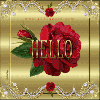 Miscellaneous GIFs - Get the best gif on GIFER