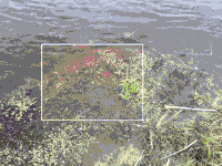 Infrared GIFs - Get the best gif on GIFER