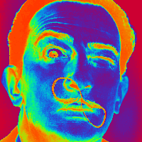 Dali GIFs - Get the best gif on GIFER