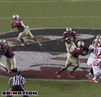 Seminole GIFs - Get the best gif on GIFER