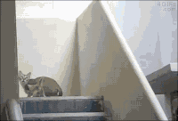 Padawan GIFs - Get the best gif on GIFER