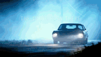 Impala GIFs - Get the best gif on GIFER