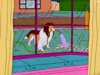 Watering GIFs - Get the best gif on GIFER