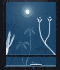 Window GIFs - Get the best gif on GIFER