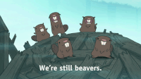 Beavers GIFs - Get the best gif on GIFER