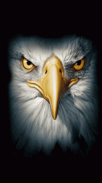 Augen GIFs - Get the best gif on GIFER